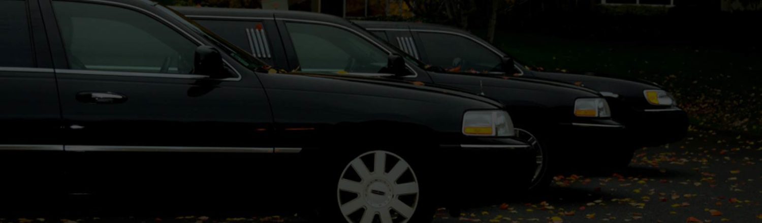 Speed Auto Systems | Auto Automation Leader