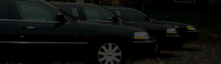 Speed Auto Systems | Auto Automation Leader